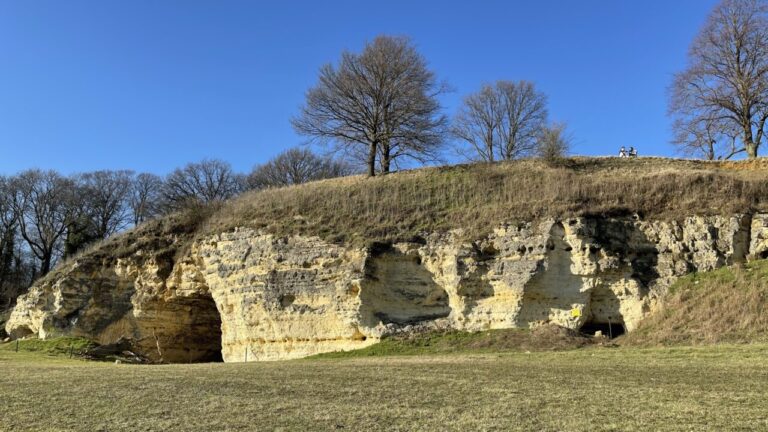 Wat is mergel? - Mergel.nU